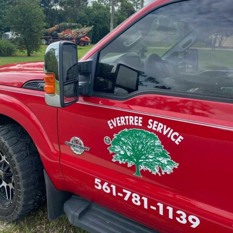 The Best Tree and Landscaping Services in Jupiter, FL.